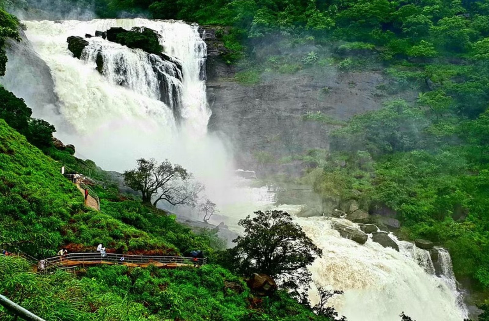 Gallery - Papillon Paradise - Coorg